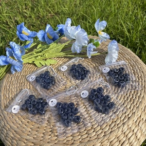 Realistic Blueberry Taba Squishy Toy, Blueberry Squishy Keychain ...