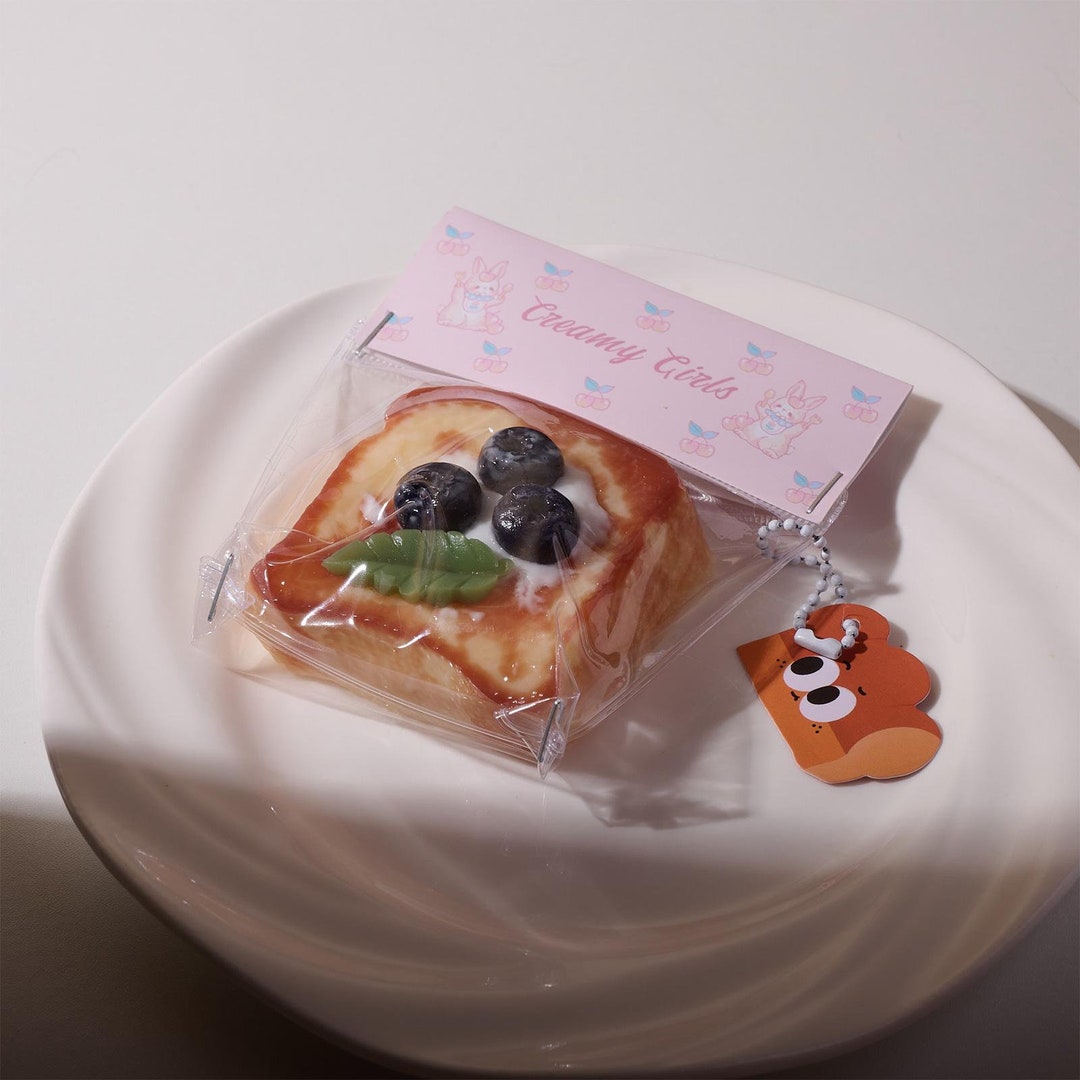 Blueberry French Toast Taba Squishy Toy, Cute Dessert Stress Reliever ...