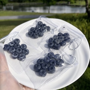 Realistic Blueberry Taba Squishy Toy, Blueberry Squishy Keychain ...