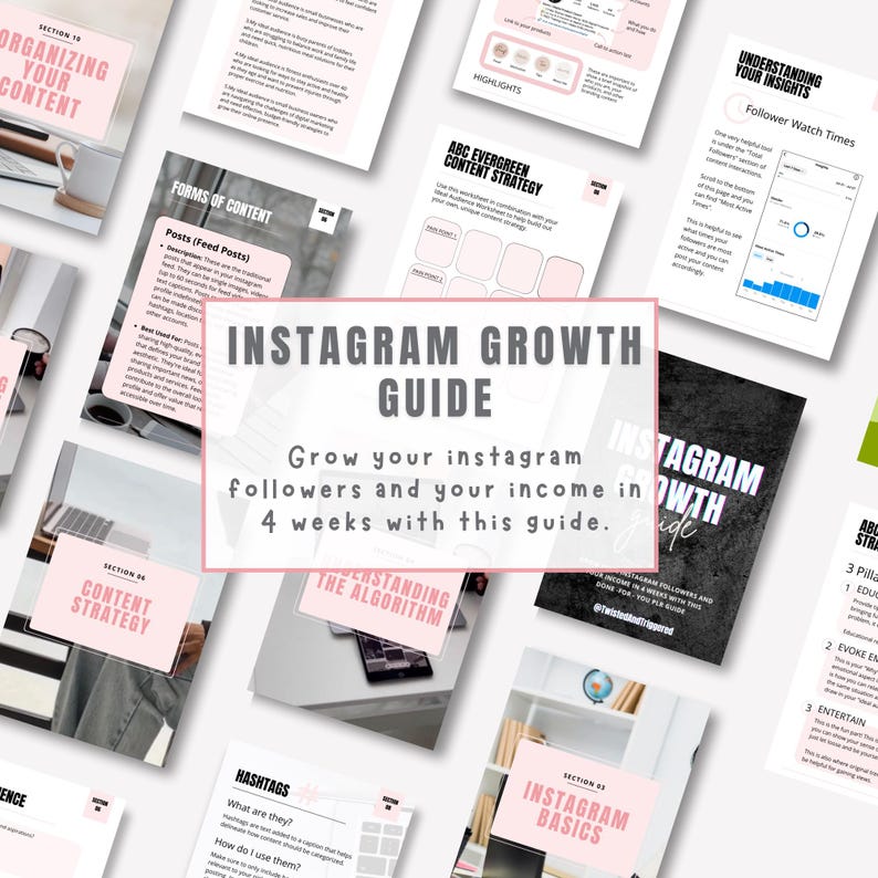 Instagram Growth Guide With PLR - Etsy