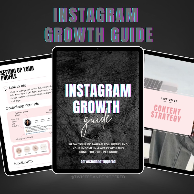 Instagram Growth Guide With PLR - Etsy