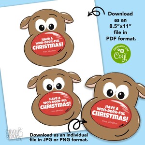 EDITABLE - Printable Have a Wondeerful Christmas Favors - Candy Cane ...