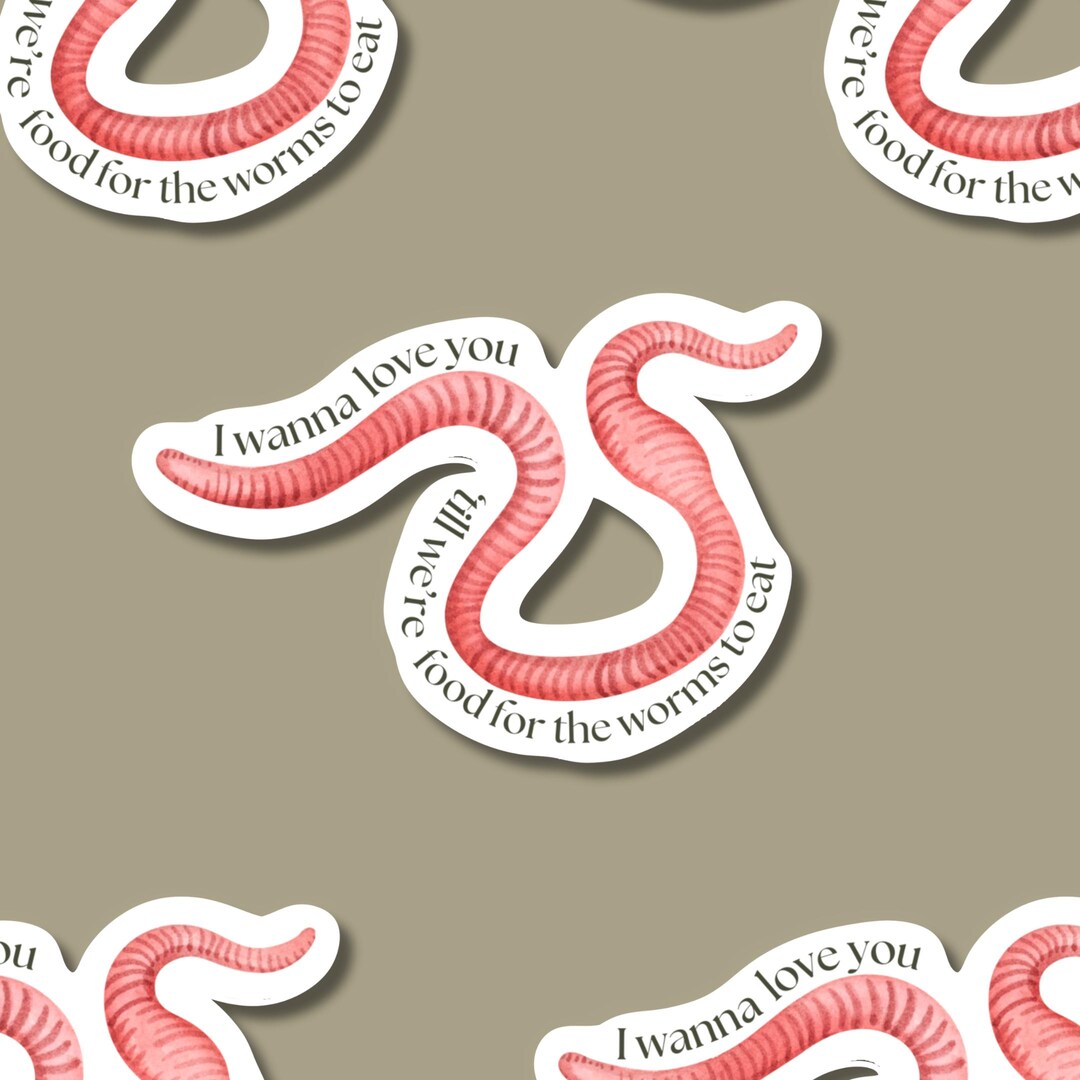 Noah Kahan Everywhere, Everything Sticker Fenway Park Stickers, Noah ...