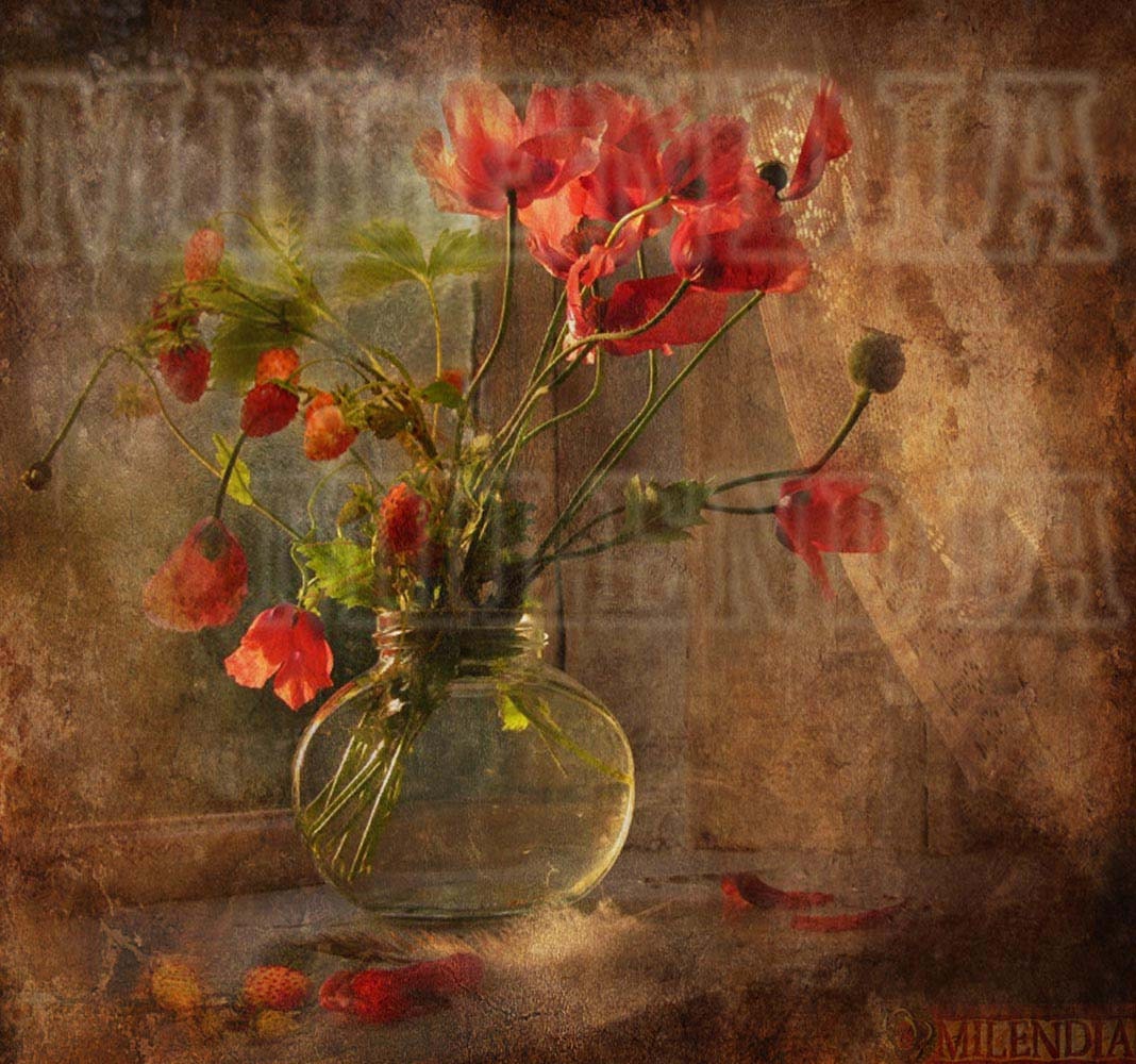 Poppy-strawberry Sketch, Magnificent Home Decor, Wall Decor Art Print ...