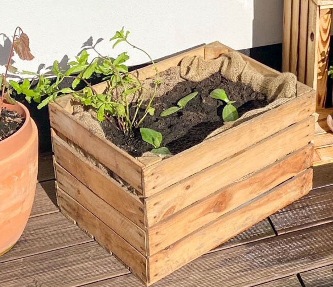 Massive Wooden Box From the Altes Land Johanna DIY Deco Box Fruit Box ...