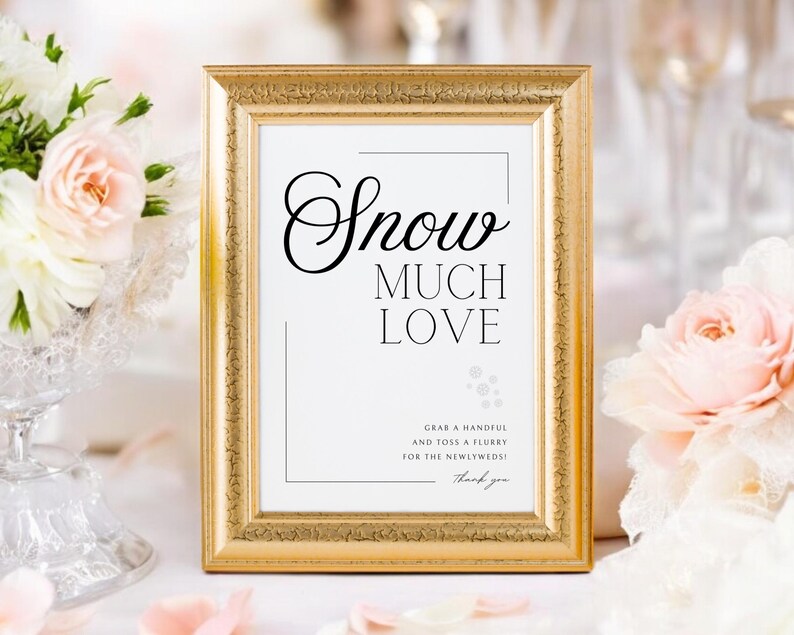 Printable Wedding Exit Sign, Faux Snow Send off Instructions (digital ...