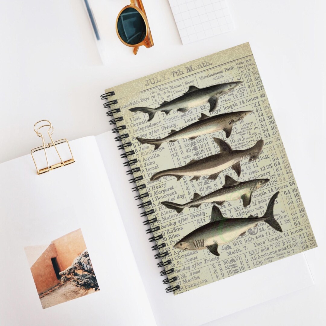 Vintage Shark Study on Antique Letter Book Page, Spiral Notebook, Ruled ...