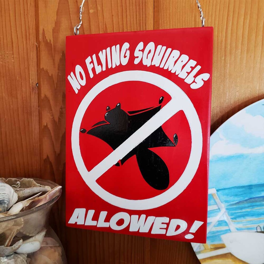 No Flying Squirrels Allowed Large Print Garden Sign | No Entry Squirrel ...