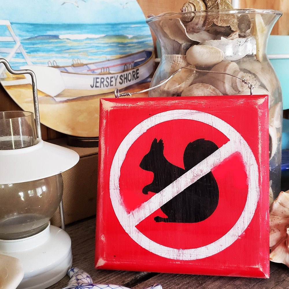 No Squirrels Allowed No Entry Garden Sign Weathered Yard - Etsy Australia