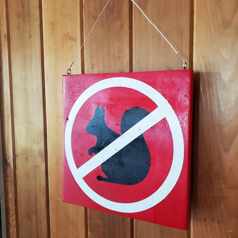 Large No Squirrels Allowed No Entry Garden Sign Yard - Etsy