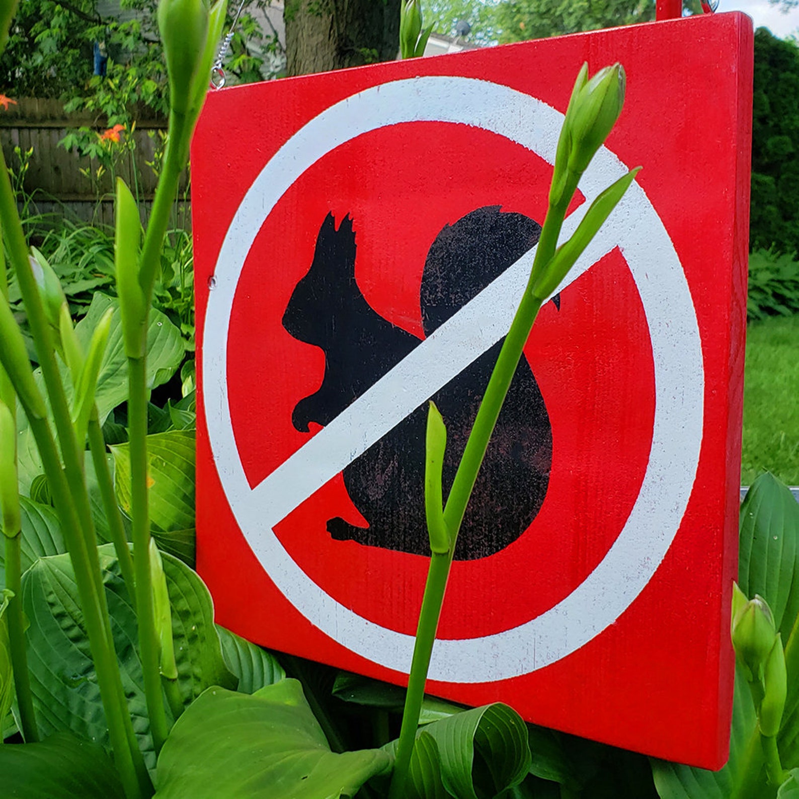 Large No Squirrels Allowed No Entry Garden Sign | Yard Signage, Shore ...