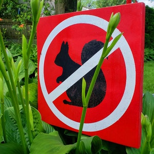 Large No Squirrels Allowed No Entry Garden Sign | Yard Signage, Shore ...