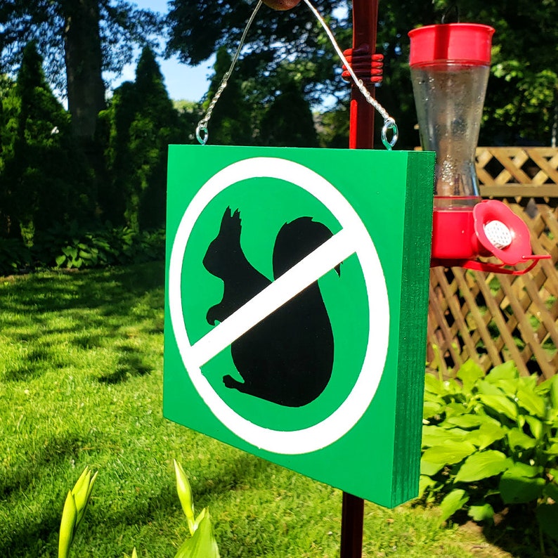 Garden Green No Squirrels Allowed No Entry Garden Sign Yard | Etsy