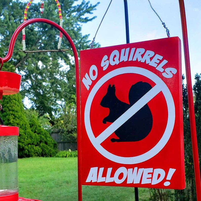No Squirrels Allowed! Large Print Garden Sign | No Entry Squirrel and ...