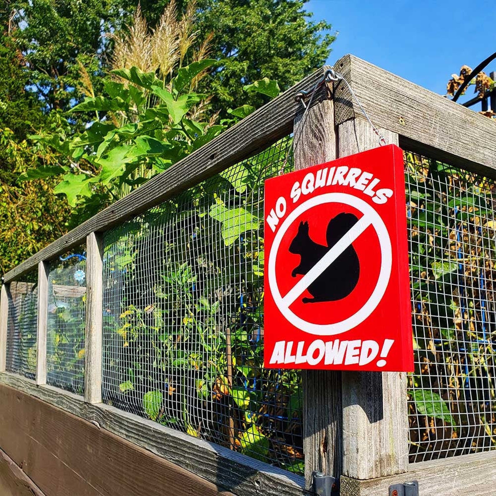 No Squirrels Allowed! Large Print Garden Sign | No Entry Squirrel and ...