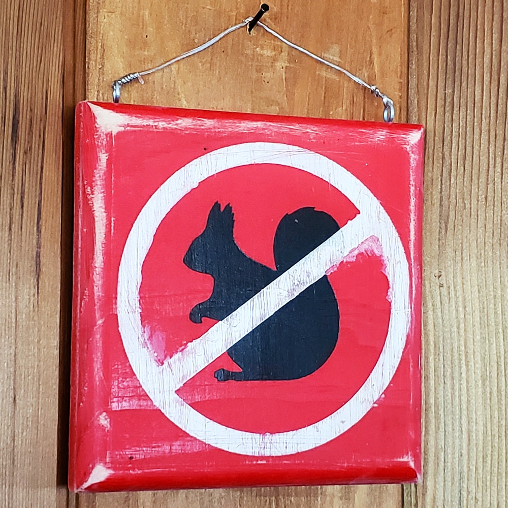 No Squirrels Allowed No Entry Garden Sign Weathered Yard - Etsy Australia