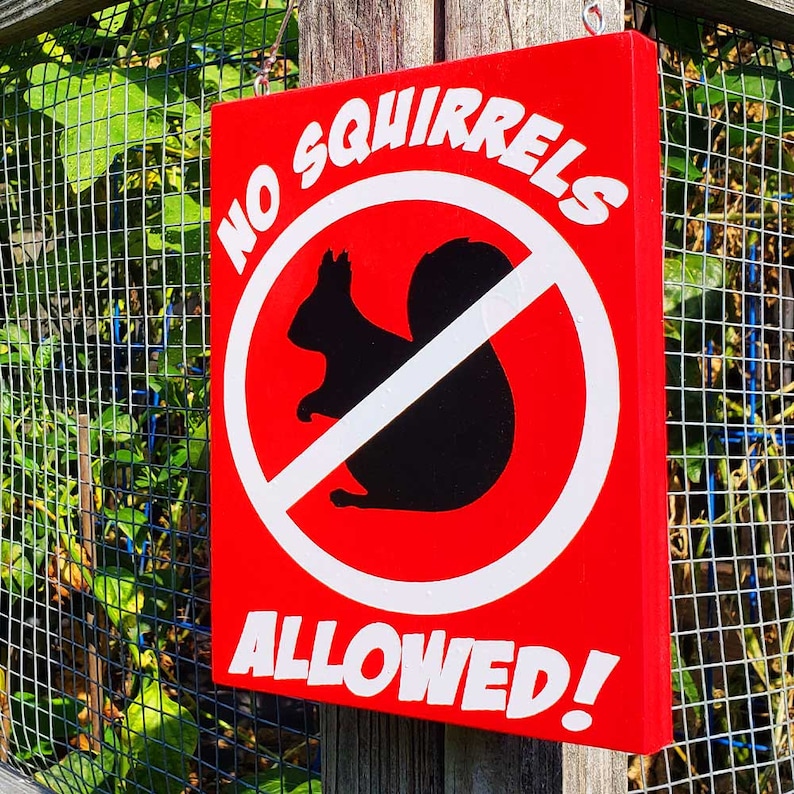No Squirrels Allowed! Large Print Garden Sign | No Entry Squirrel and ...