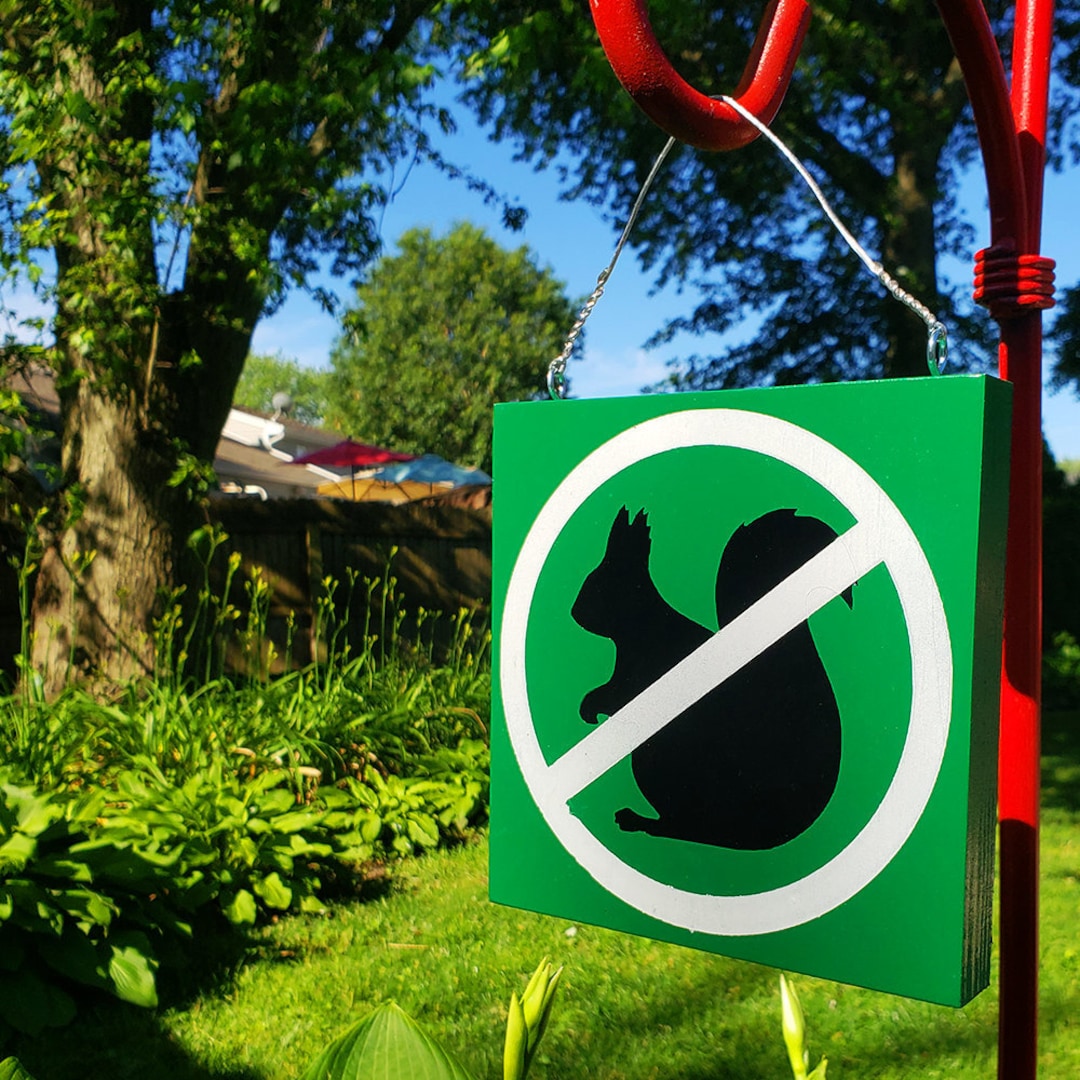 Garden Green No Squirrels Allowed No Entry Garden Sign | Yard Signage ...