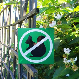 Garden Green No Squirrels Allowed No Entry Garden Sign | Yard Signage ...