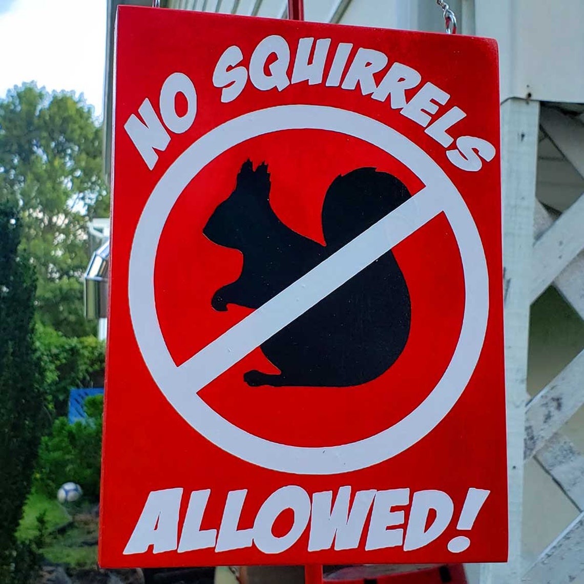 No Squirrels Allowed Large Print Garden Sign No Entry | Etsy