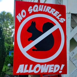 No Squirrels Allowed! Large Print Garden Sign | No Entry Squirrel and ...