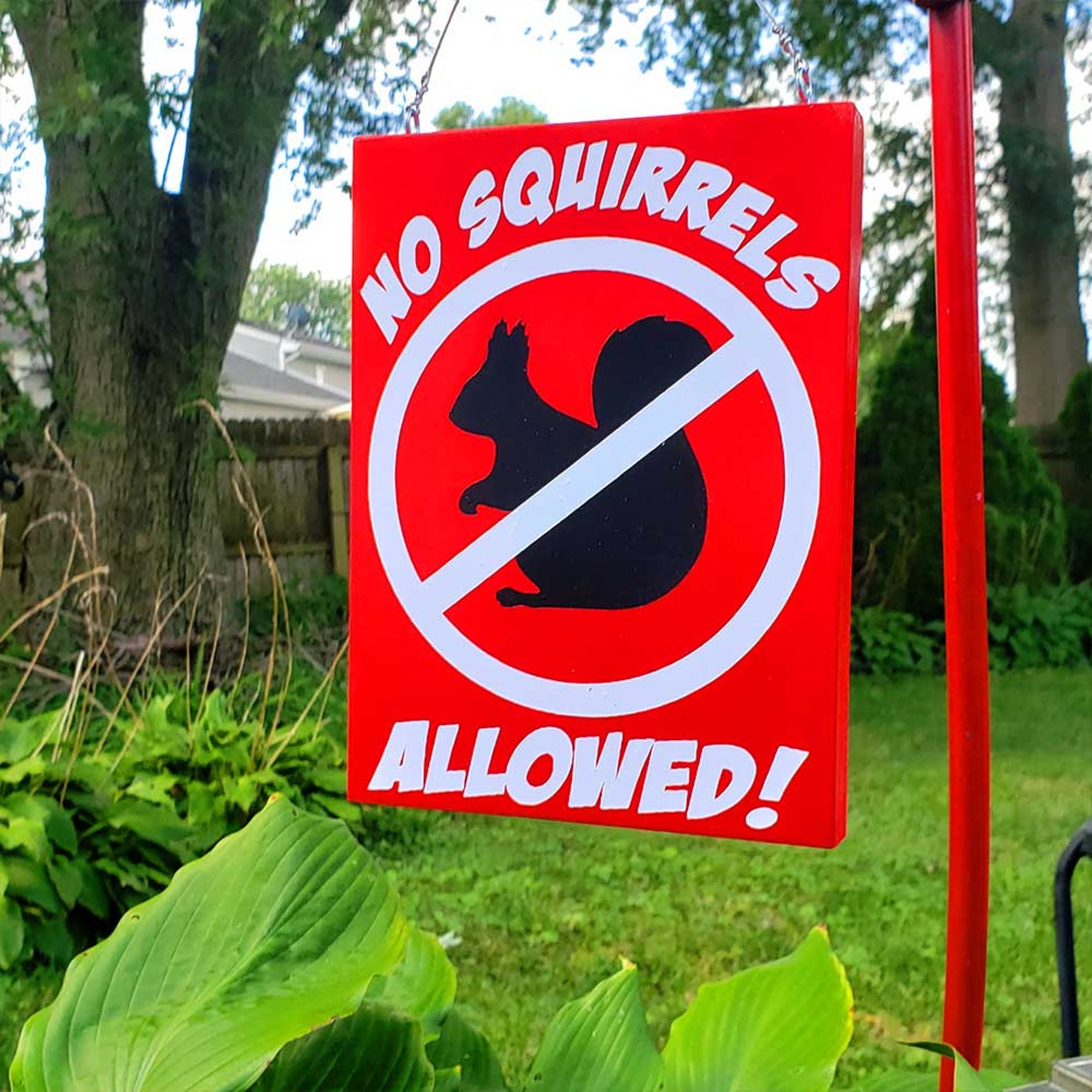 No Squirrels Allowed Large Print Garden Sign No Entry - Etsy
