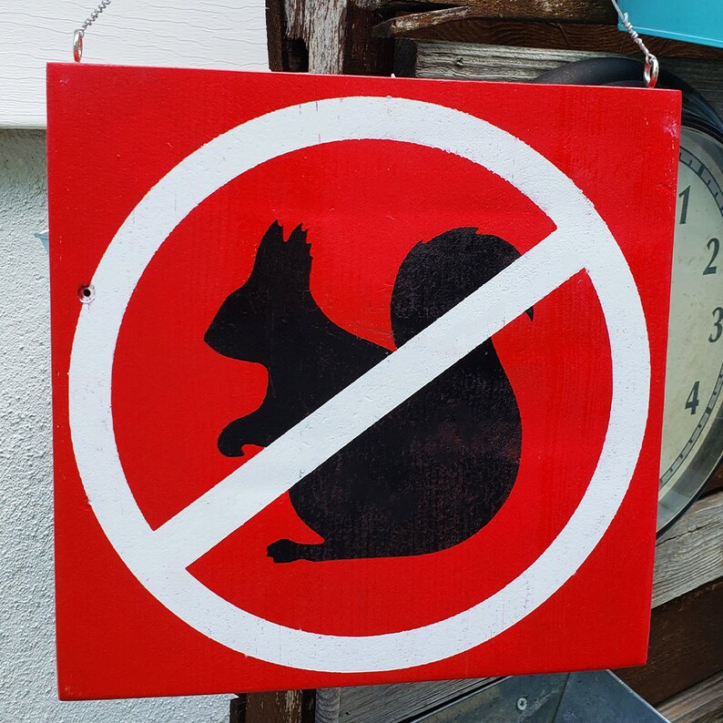 Large No Squirrels Allowed No Entry Garden Sign Yard | Etsy