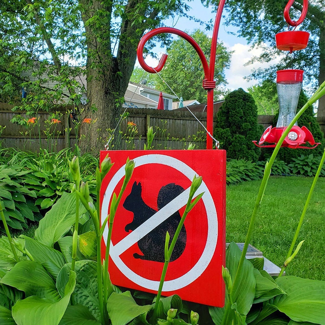 Large No Squirrels Allowed No Entry Garden Sign | Yard Signage, Shore ...