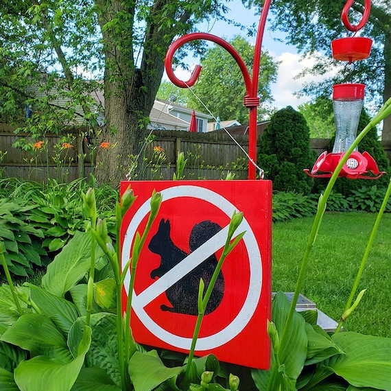 Large No Squirrels Allowed No Entry Garden Sign Yard - Etsy Canada