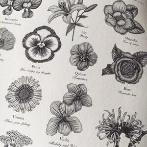 Victorian Language of Flowers Print - A to Z of Flowers - Flower ...