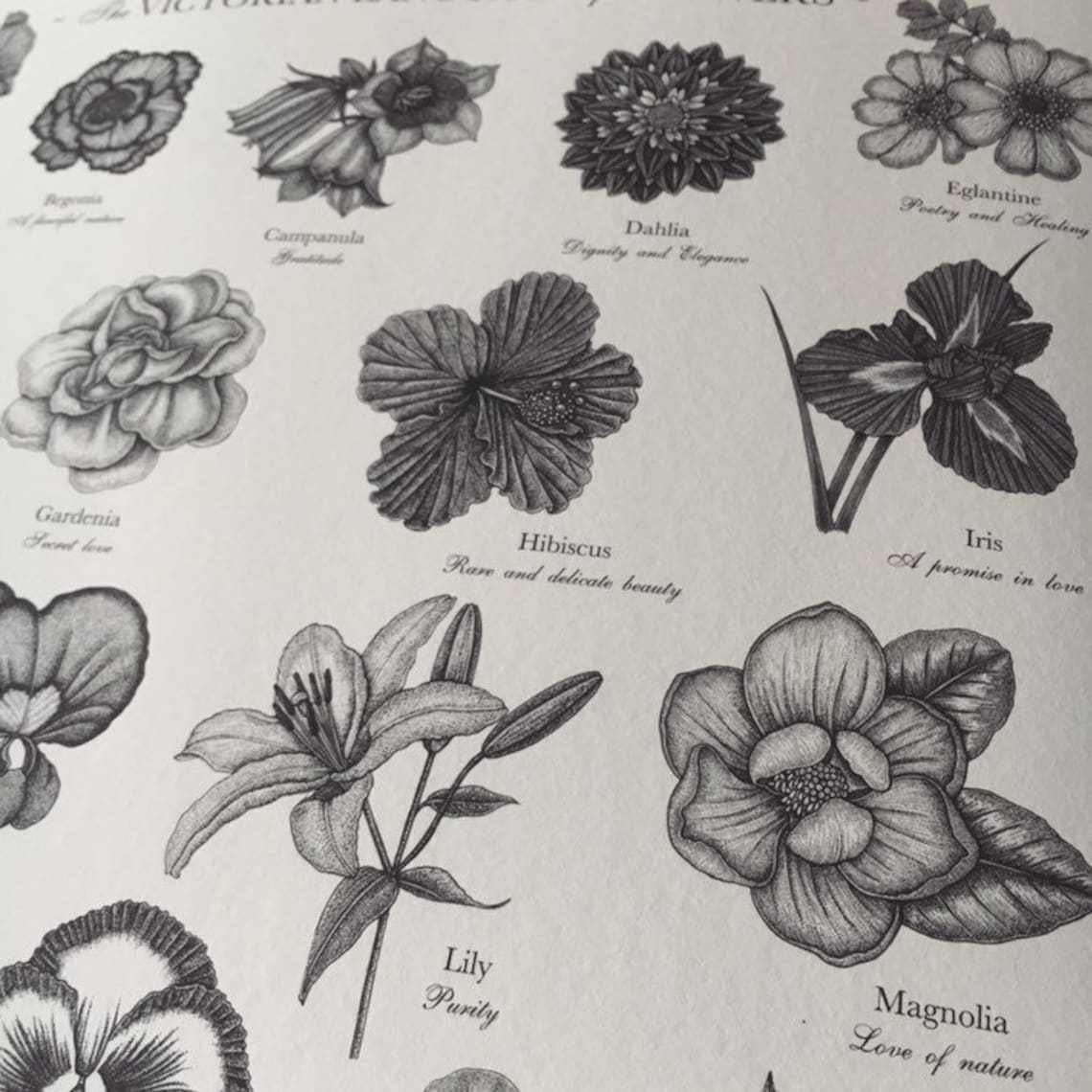 Victorian Language of Flowers Print A to Z of Flowers | Etsy