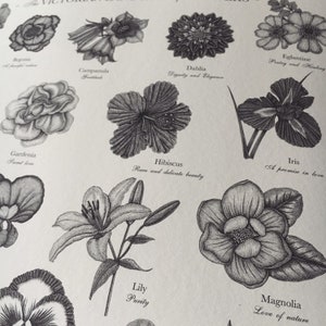 Victorian Language of Flowers Print - A to Z of Flowers - Flower ...