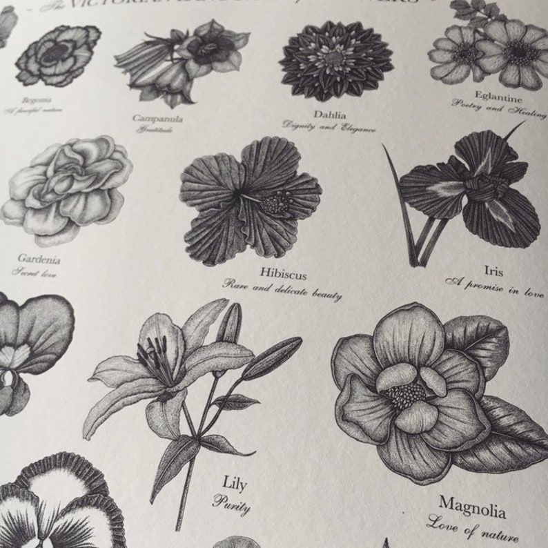 Victorian Language of Flowers Print - A to Z of Flowers - Flower ...