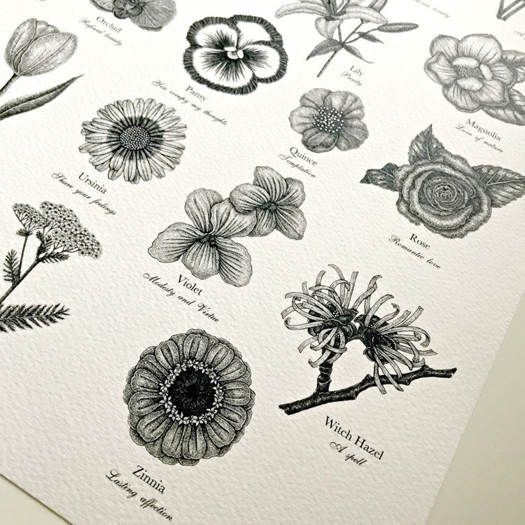 Victorian Language of Flowers Print A to Z of Flowers | Etsy