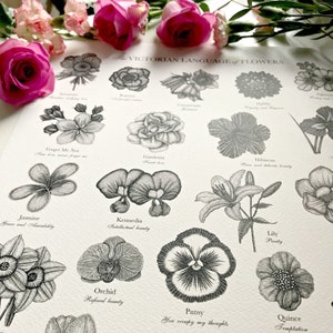 Victorian Language of Flowers Print A to Z of Flowers Flower Alphabet ...
