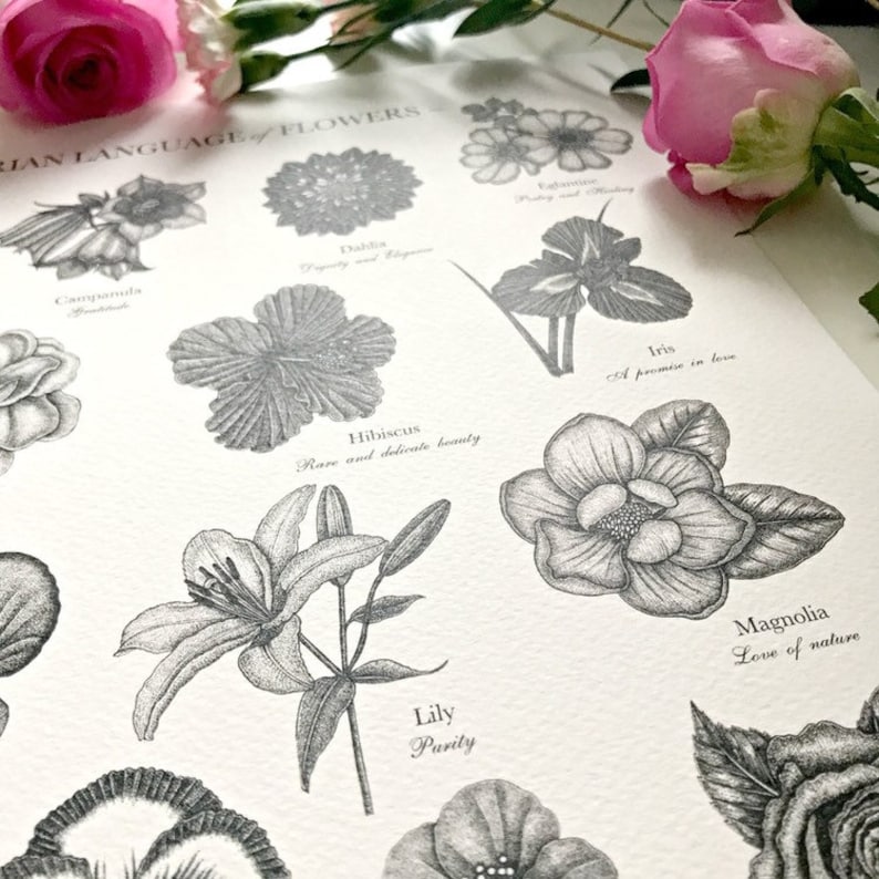 Victorian Language of Flowers Print A to Z of Flowers - Etsy