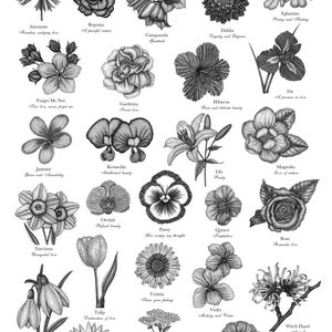 Victorian Language of Flowers Print - A to Z of Flowers - Flower ...