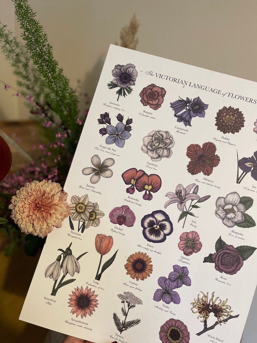 Victorian Language of Flowers Colour A3 Print - A to Z Flowers - Flower ...