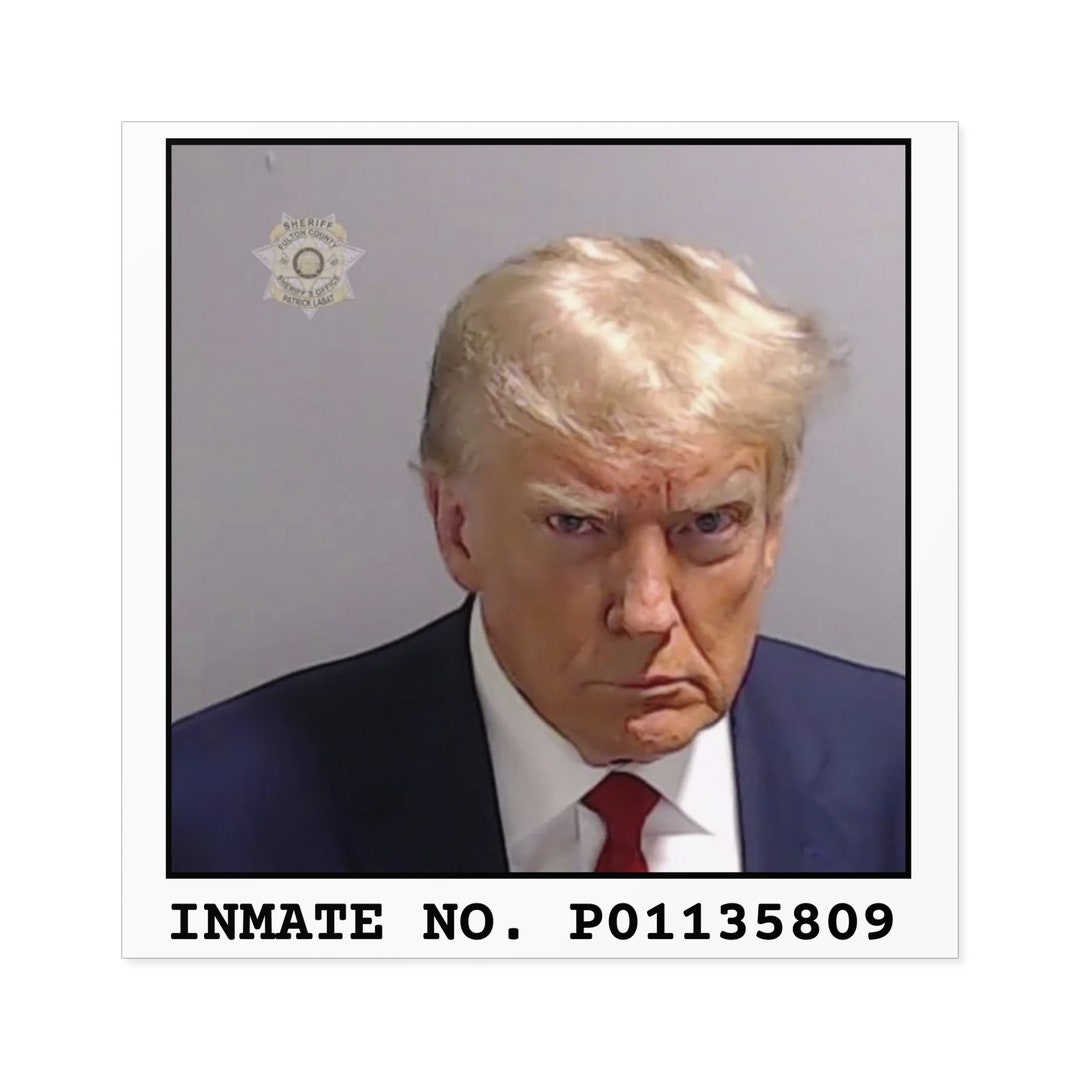 Donald Trump Mugshot Chic Sticker Mugshot Sticker, Donald Trump, Trump ...
