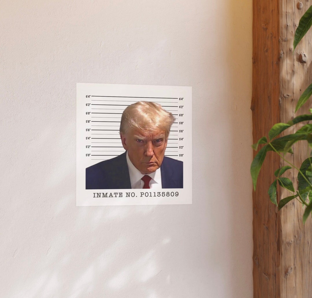 Donald Trump Mugshot Chic Poster, Donald Trump Mugshot, Mugshot, Donald ...