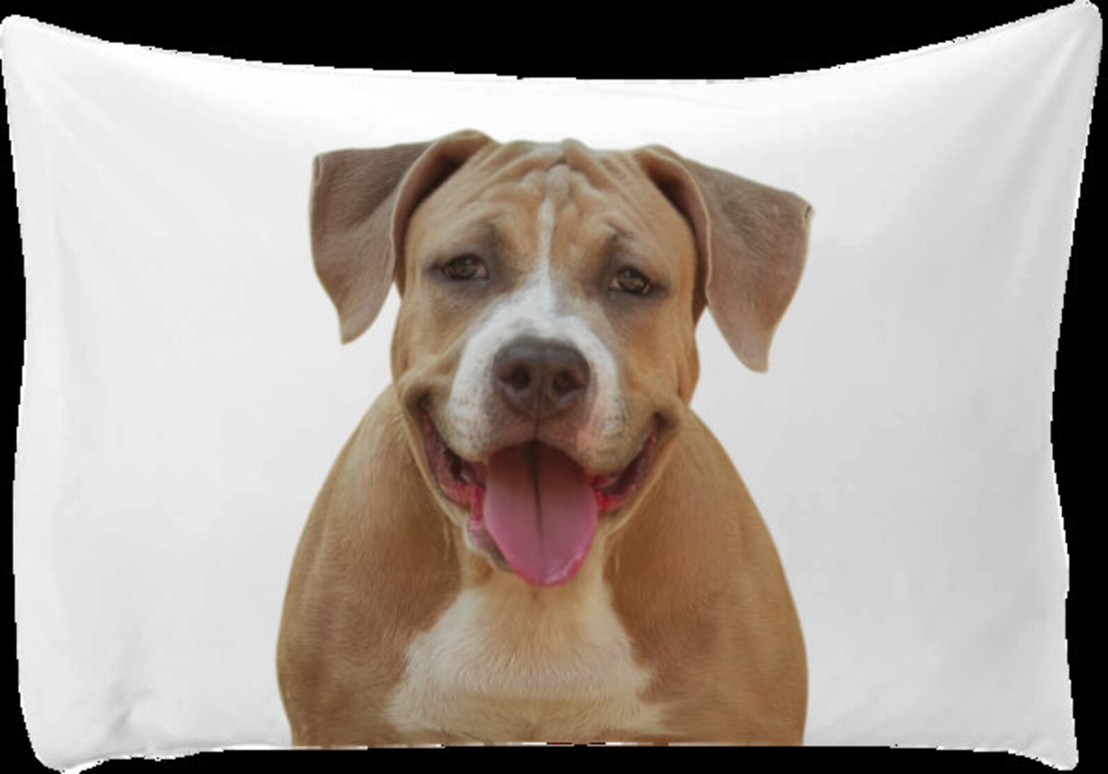 Dog Pillow Case: Personalized Pillow Case With a Picture of - Etsy