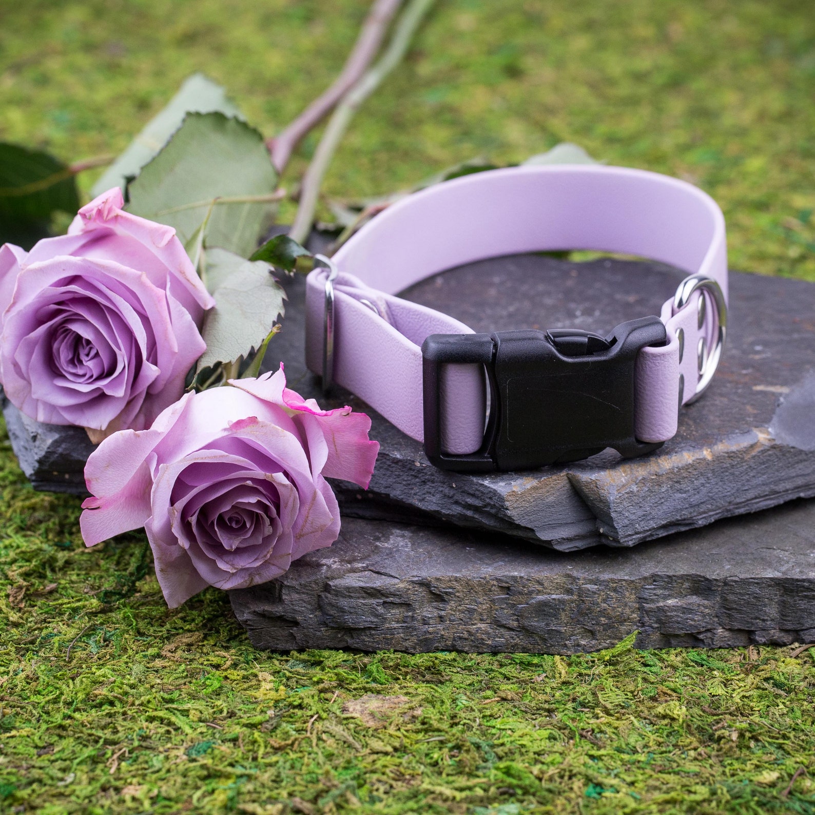 Waterproof Dog Collar in Lilac Purple Lavender, Biothane Dog Collar in ...