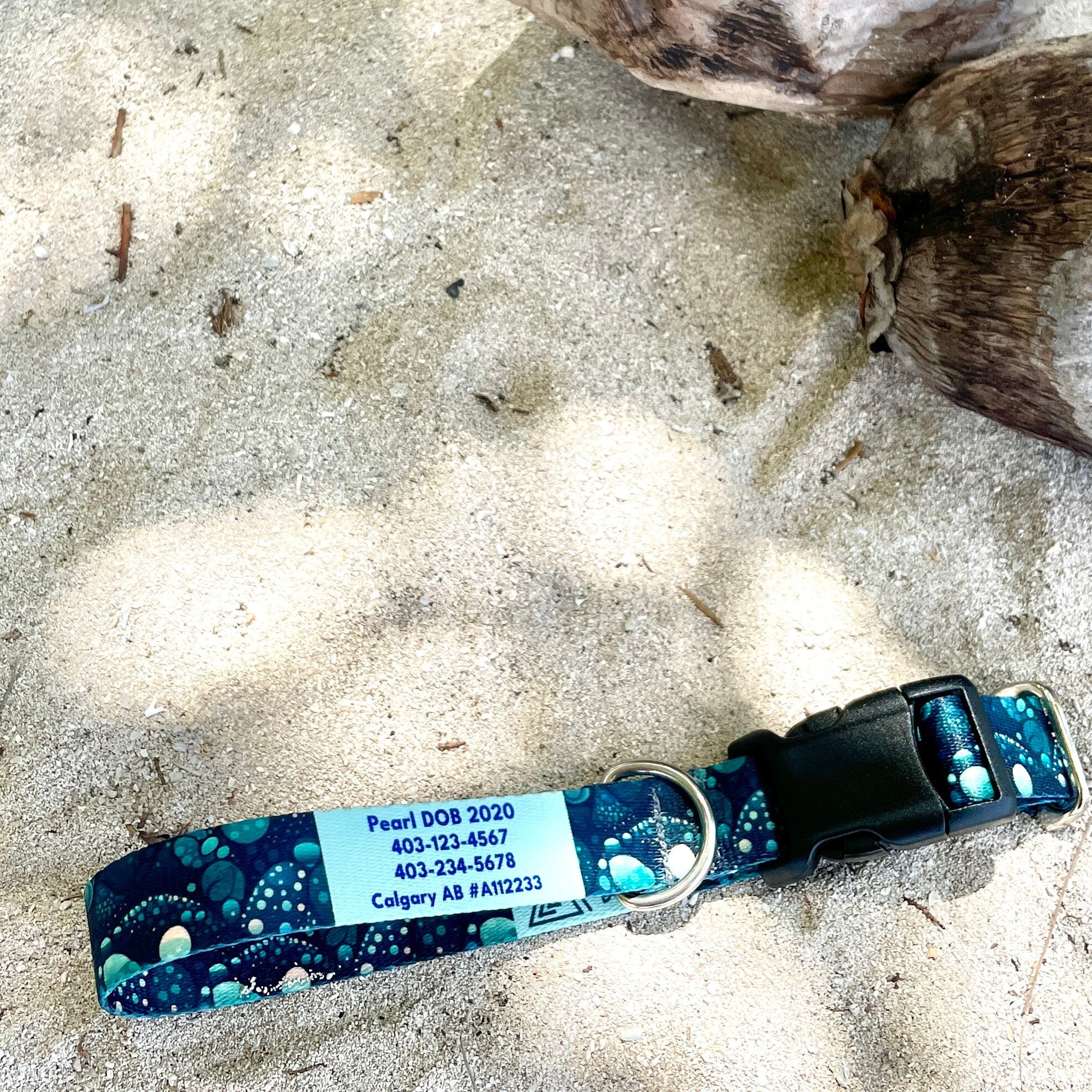 Water Drops Collar: Made From Recycled Webbing, Personalize With Your ...