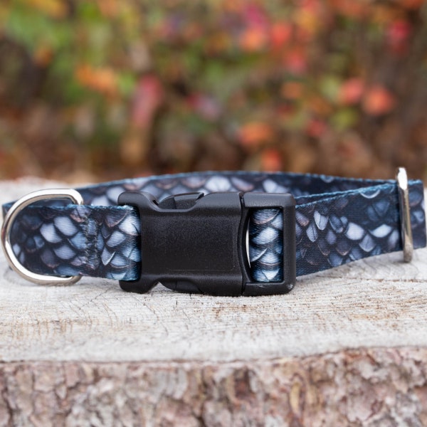 Dragon Dog Collar - Etsy