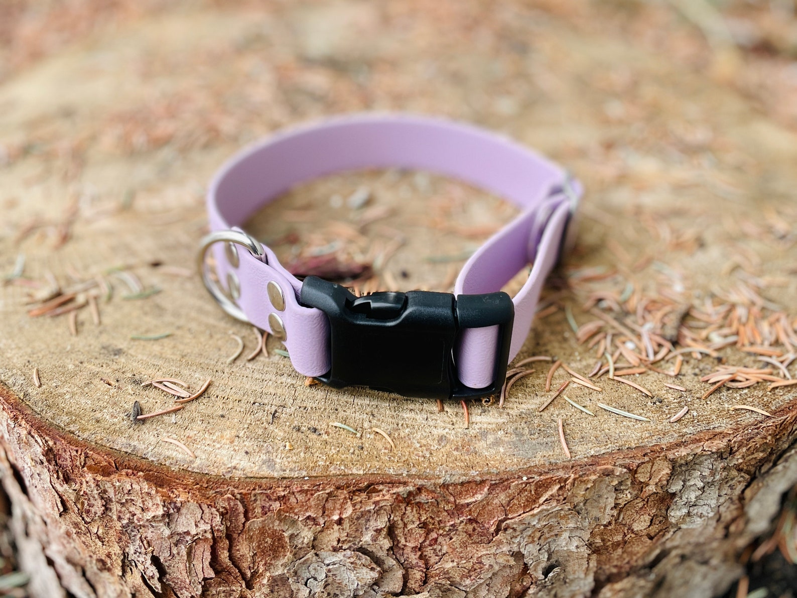 Waterproof Dog Collar in Lilac Purple Lavender, Biothane Dog Collar in ...