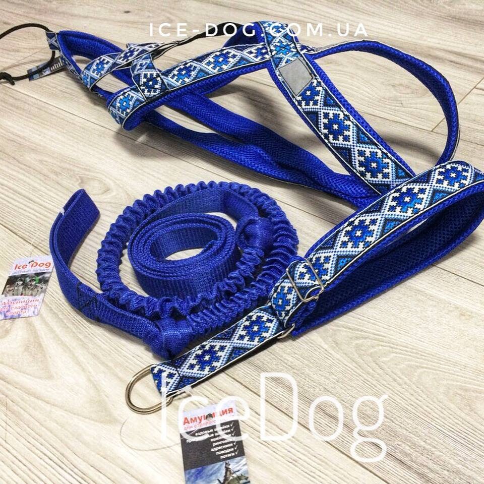 Set for Canicross Bikejoring Skiijoring Scootering of - Etsy