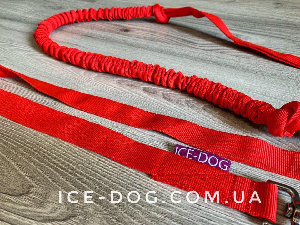 Bikejoring Tow Line Bungee Shock Absorber for Dog Lead - Etsy
