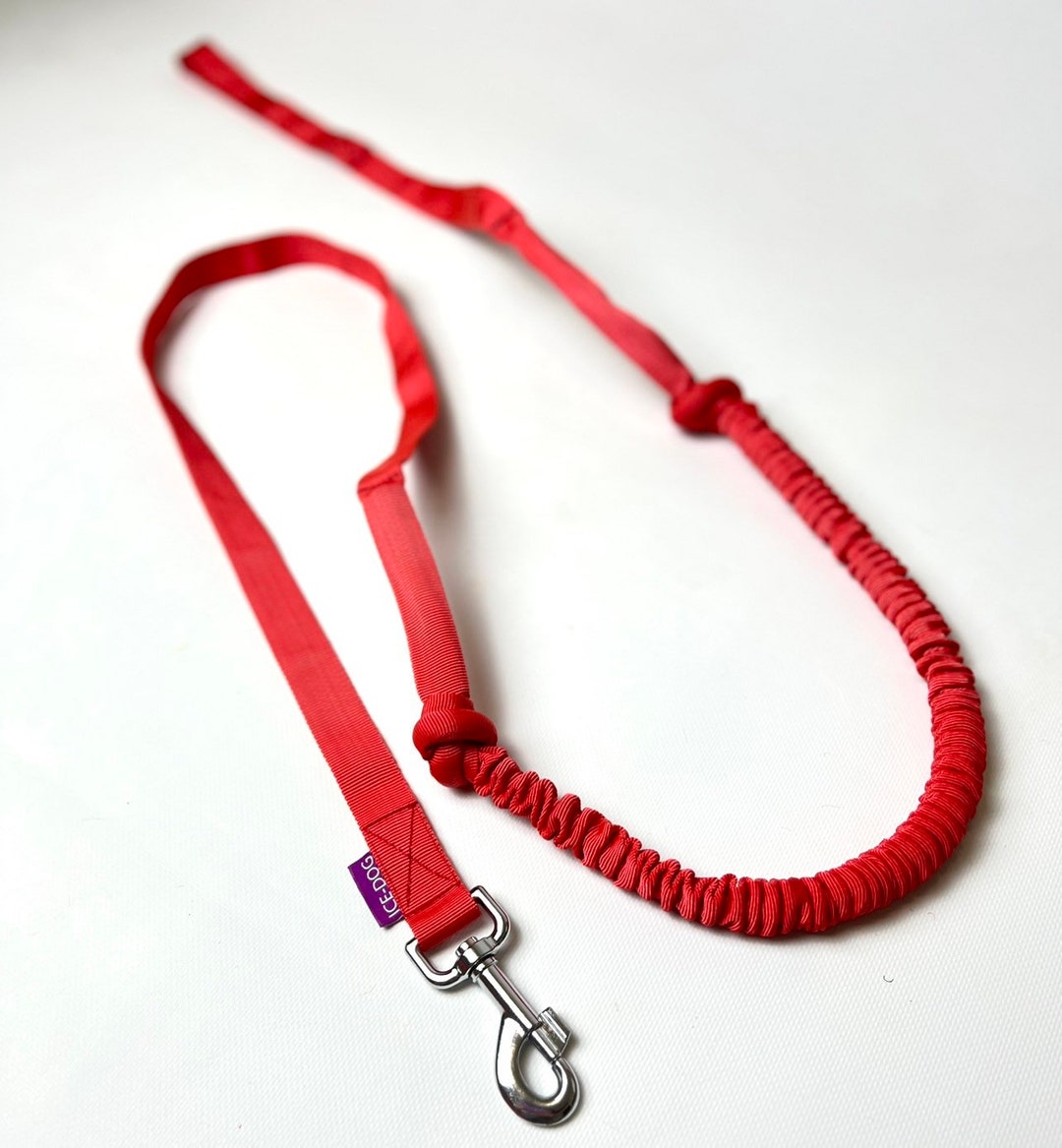 Bikejoring Tow Line Bungee Shock Absorber for Dog Lead - Etsy