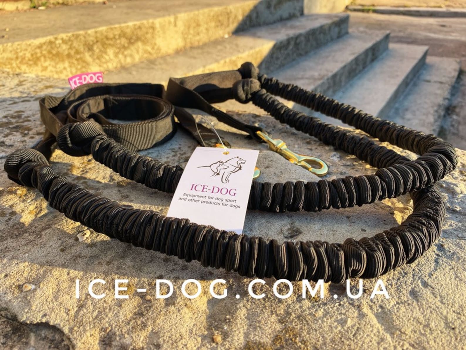 Bikejoring Tow Line Bungee Shock Absorber for Dog Lead for Two Dogs - Etsy
