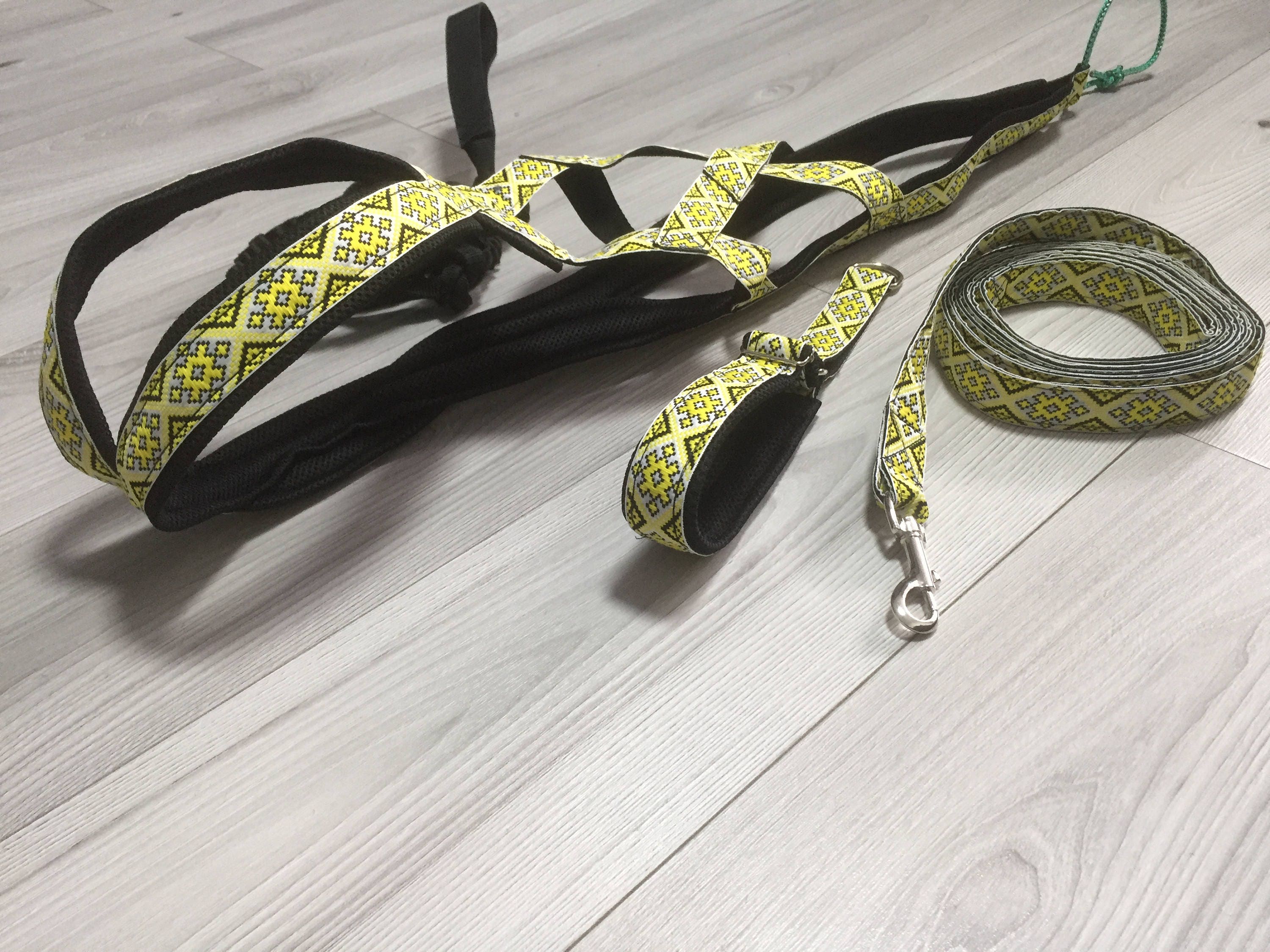 Set for Canicross Bikejoring Skiijoring Scootering of - Etsy